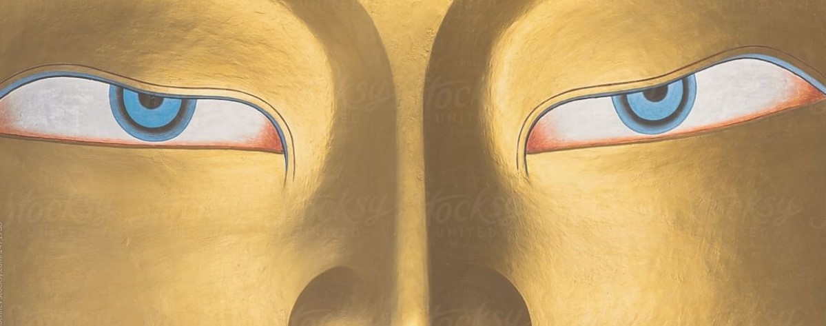 The Philosophy of Mind of Dignaga and Dharmakirti: A Workshop at the ...